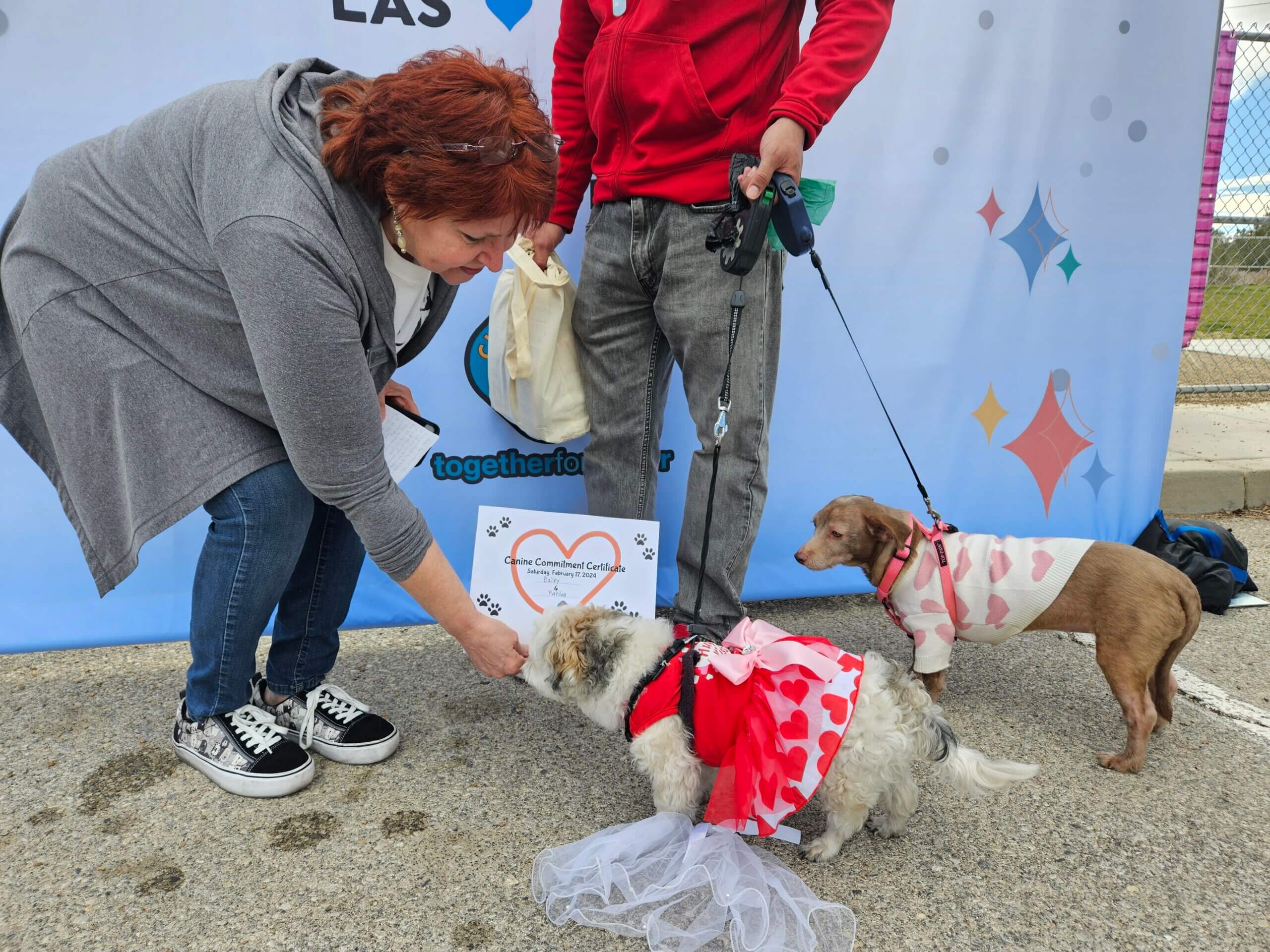 'Puppy Love' Event Unveils First-Ever Canine Commitment Ceremonies ...